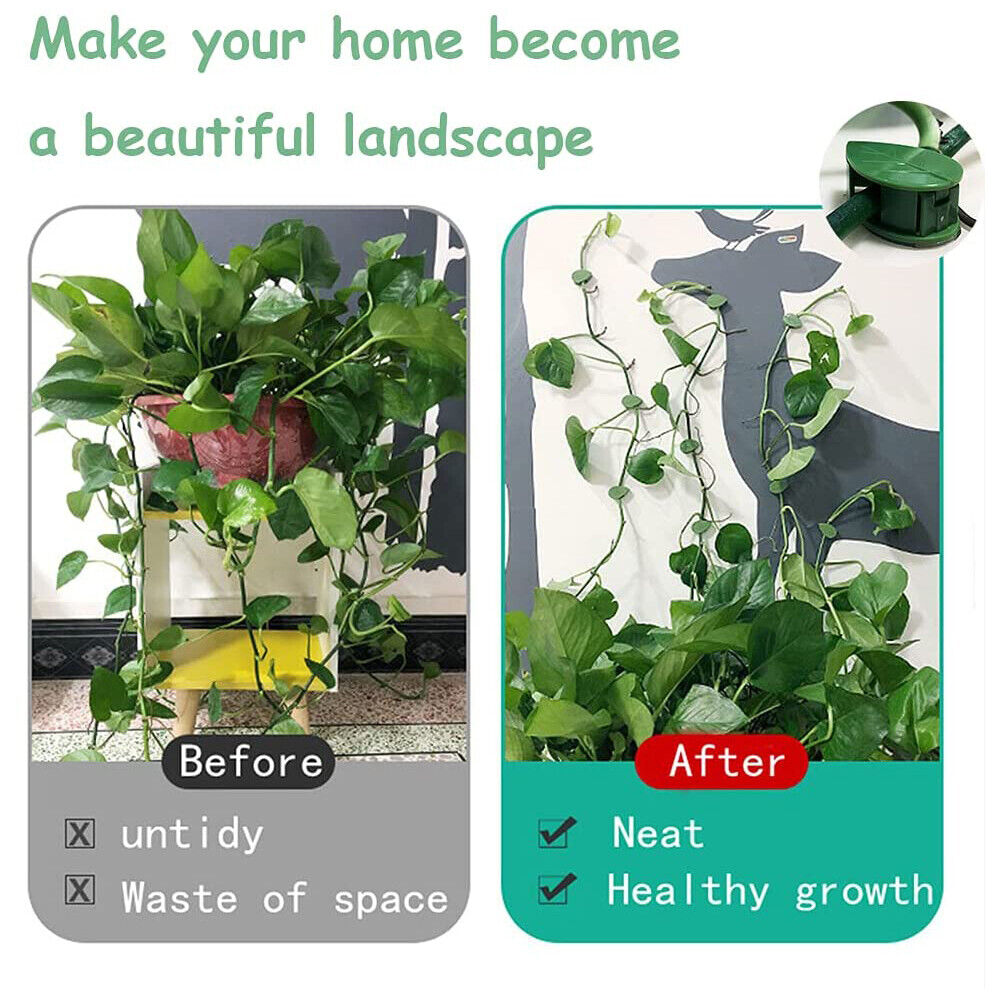 10x Invisible Wall Vines Fixture Sticky Fixing Clip Climbing Plants Ti ...